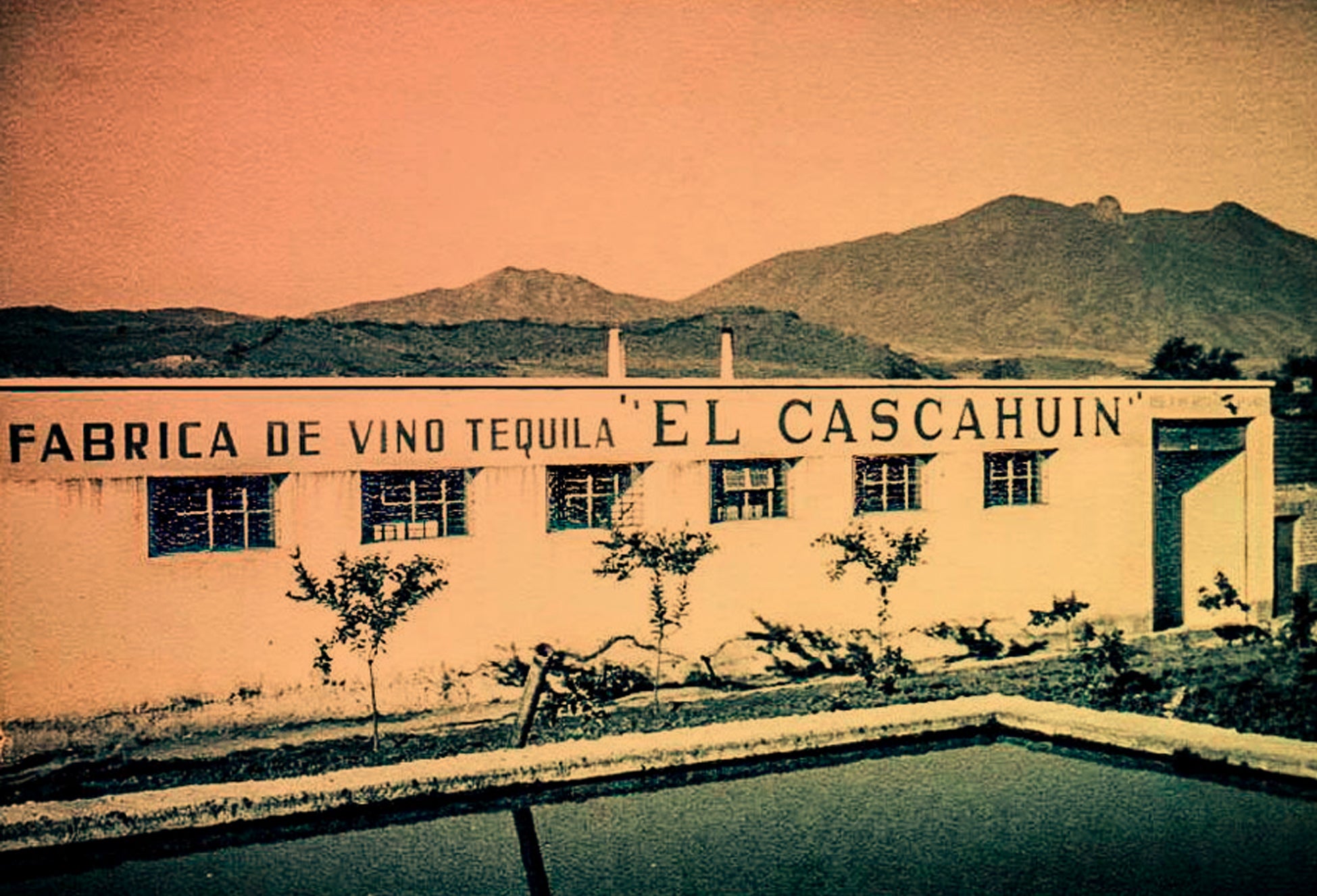 About – EL Negocio Tequila